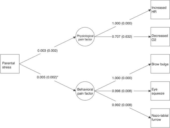 Behavioral and physiological pain structures of PIPP-R and parental ...