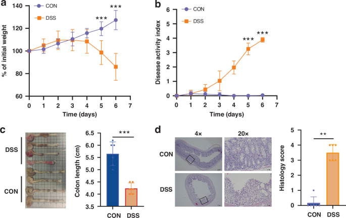 Tarm1 may affect colitis by regulating macrophage M1 polarization in a ...