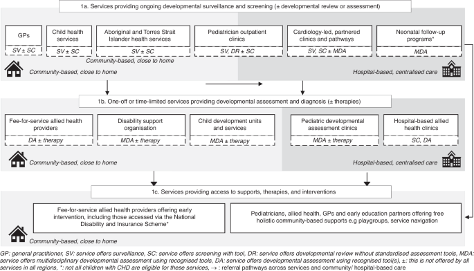 Neurodevelopmental follow-up care pathways and processes for children ...