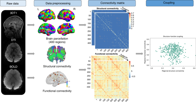 Patterns of brain structure-function coupling variations related to ...