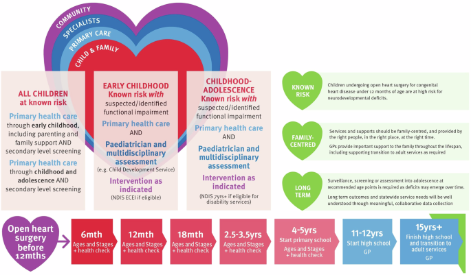 Family and health professional perspectives of the CHD LIFE cardiac ...