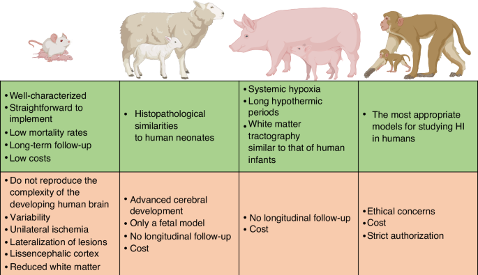 Closing the gap before using L-lactate to guide newborn care ...