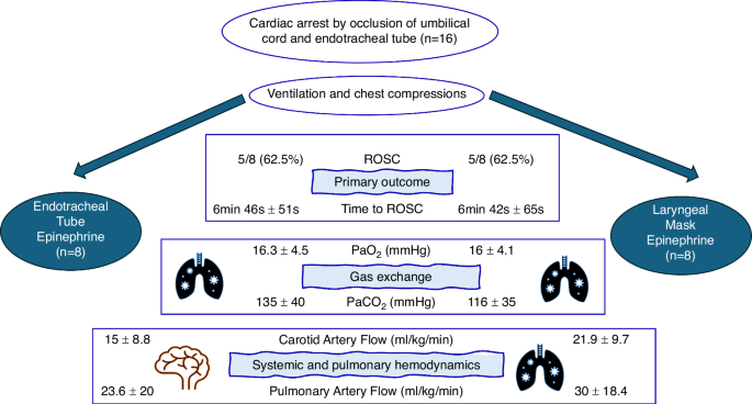 Laryngeal mask epinephrine: expanding the airway toolbox in neonatal ...