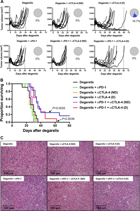 Combining intratumoral Treg depletion with androgen deprivation therapy ...