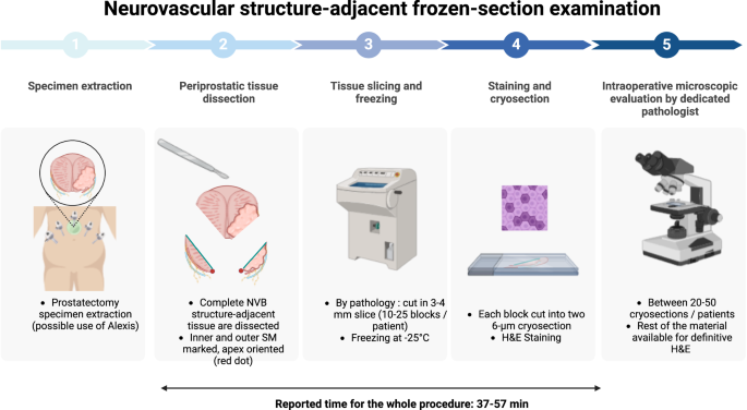 Intraoperative technologies to assess margin status during radical ...