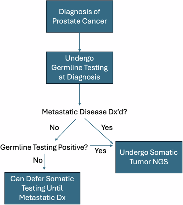 Germline and somatic testing for homologous repair deficiency in ...