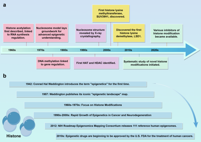 Crossing epigenetic frontiers: the intersection of novel histone ...