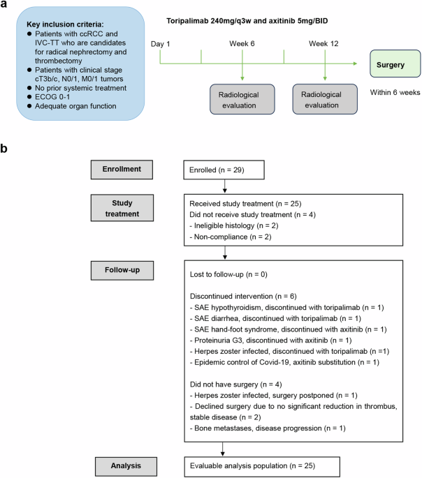 Neoadjuvant toripalimab plus axitinib for clear cell renal cell ...