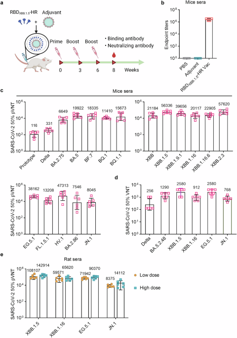 A recombinant protein vaccine induces protective immunity against SARS ...