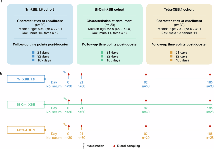 Neutralizing antibody durability and SARS-CoV-2 infection in older ...