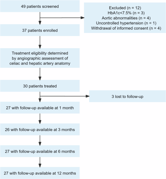 Catheter-based endovascular celiac and hepatic denervation for type 2 ...