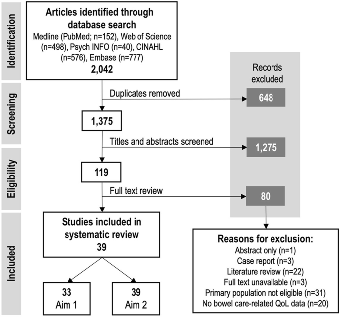 Bowel burdens: a systematic review and meta-analysis examining the ...