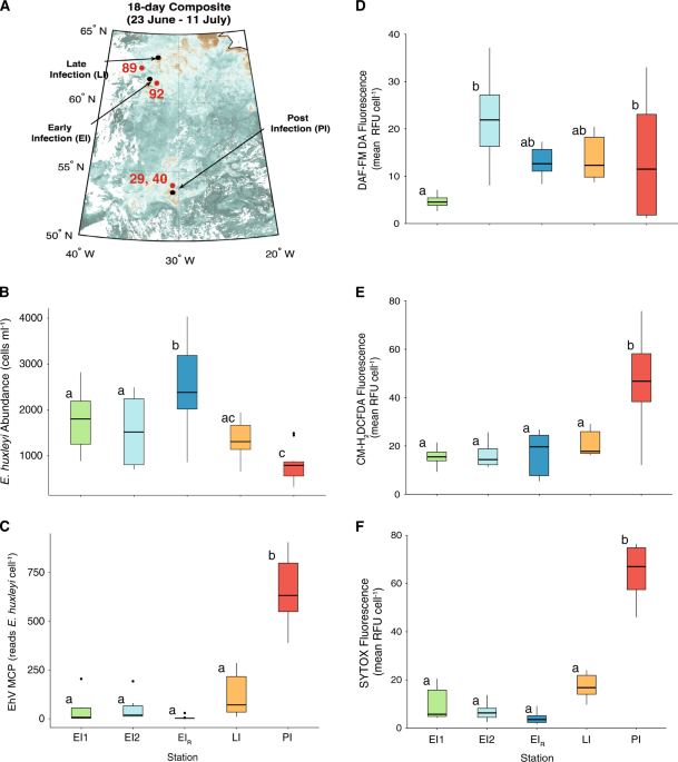 Nitric oxide production and antioxidant function during viral infection ...