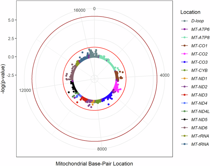 Mitochondrial DNA variants and susceptibility to anti-tuberculosis drug ...