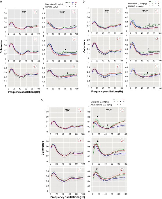 Cortical high gamma network oscillations and connectivity: a ...