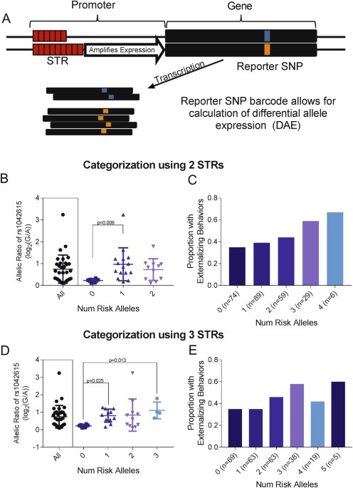 Effects on gene expression and behavior of untagged short tandem ...