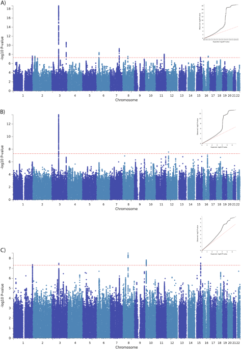 Genetics of self-reported risk-taking behaviour, trans-ethnic ...