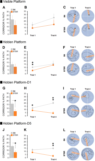 Non-diagnostic symptoms in a mouse model of autism in relation to ...