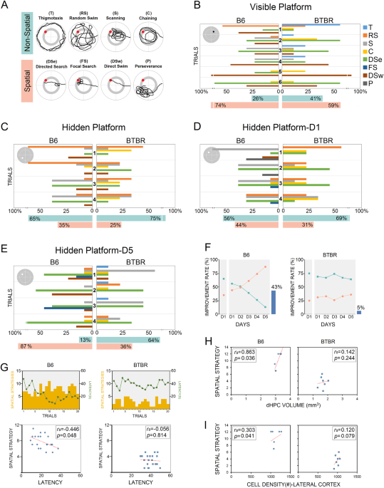 Non-diagnostic symptoms in a mouse model of autism in relation to ...