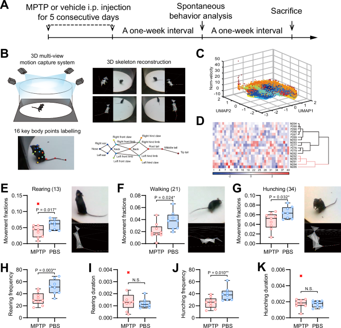 Subtle behavioral alterations in the spontaneous behaviors of MPTP ...