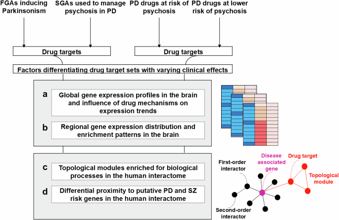 Spatial and functional profiles distinguish target sets of Parkinson’s ...