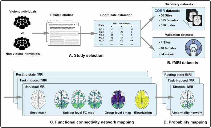 Brain network localization of structural and functional abnormality associated with aggression ...
