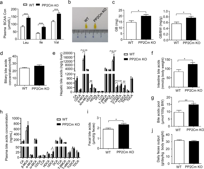Branched-chain amino acids promote hepatic Cyp7a1 expression and bile ...