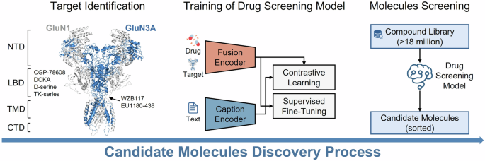 Contrastive learning-based drug screening model for GluN1/GluN3A ...