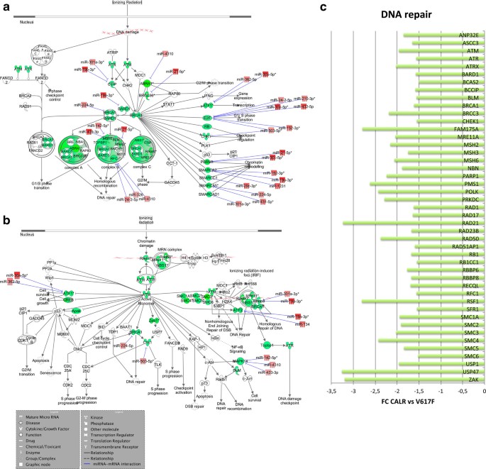 CALR mutational status identifies different disease subtypes of ...