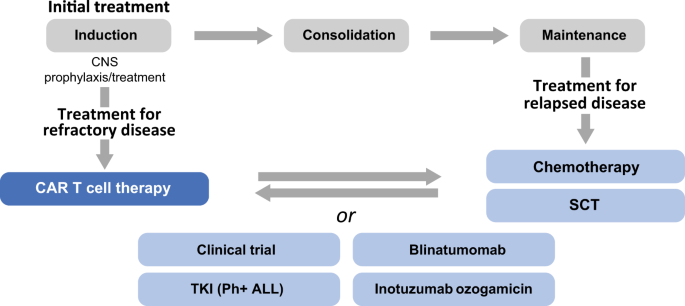 The journey to CAR T cell therapy: the pediatric and young adult ...