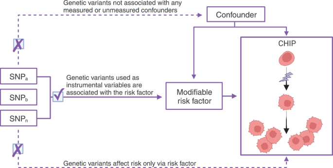 Using Mendelian Randomisation to search for modifiable risk factors ...