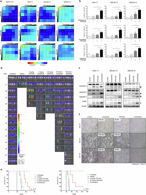 Synergistic effect of FMS-like tyrosine kinase-3 (FLT3) inhibitors ...