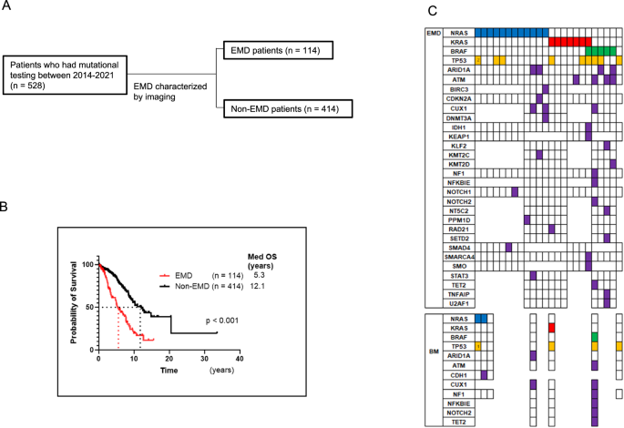 Integration of clinical outcomes and molecular features in extramedullary disease in multiple ...