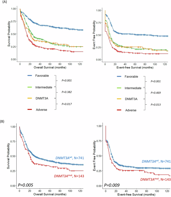 Genomic and transcriptomic determinants of clinical outcomes in patients with AML and DNMT3A ...