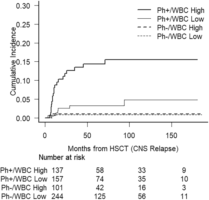 BCR::ABL1-positive acute lymphoblastic leukemia as a high-risk feature of central nervous system ...