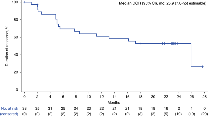 Long-term outcomes of patients with large B-cell lymphoma treated with ...