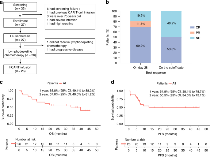 Safety and efficacy of autologous humanized CD19 CAR-T cell therapy for relapsed/refractory B ...