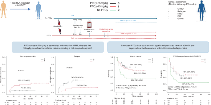 Low-dose post-transplant cyclophosphamide in combination with low-dose ...