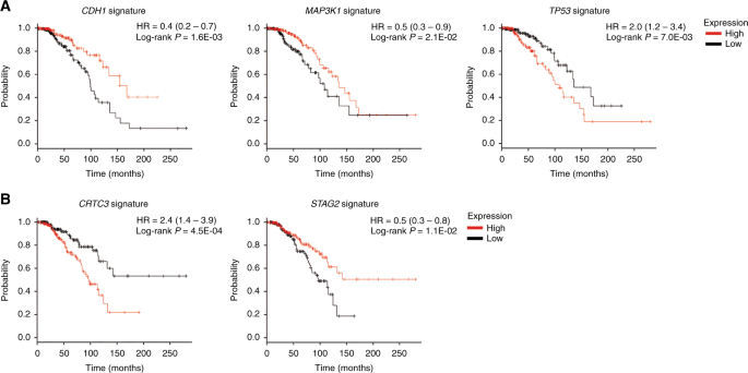 An integrative bioinformatics approach reveals coding and non-coding ...