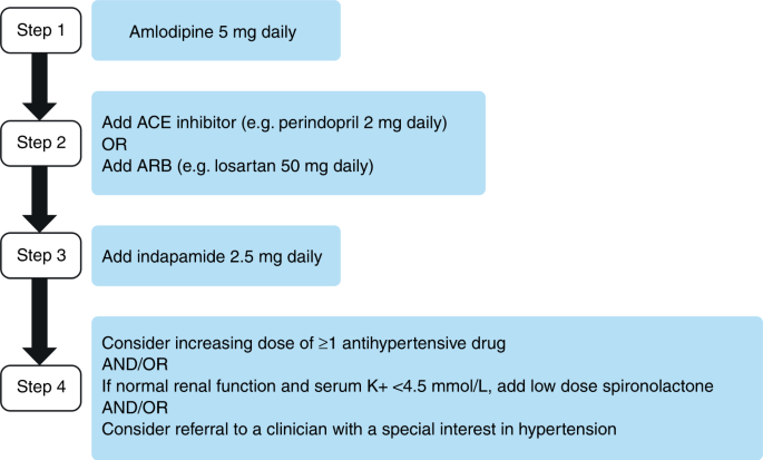 Expert recommendations on the management of hypertension in patients ...