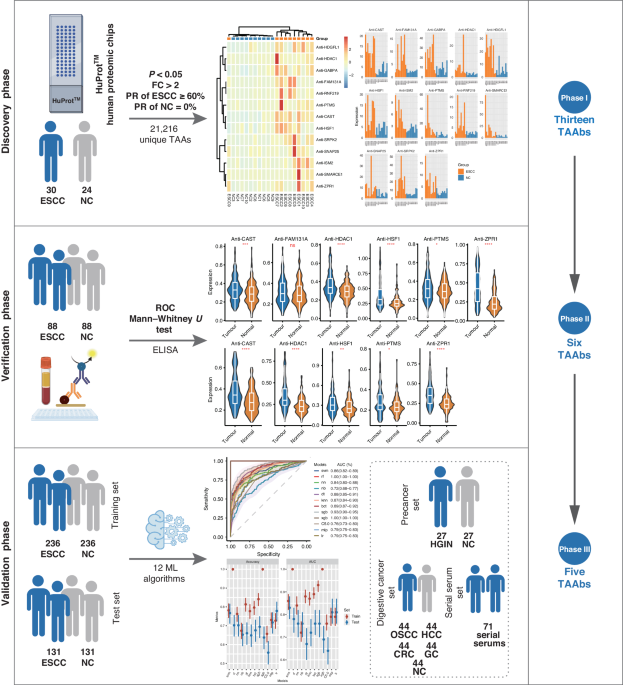 ESCCPred: a machine learning model for diagnostic prediction of early ...