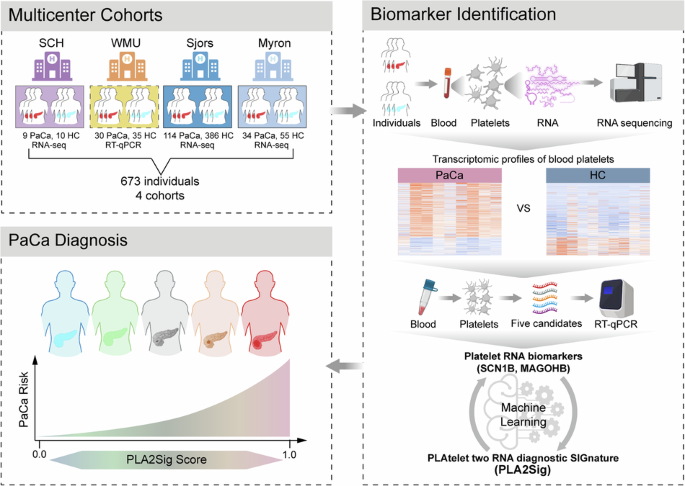 Transcriptomic profiling of blood platelets identifies a diagnostic ...