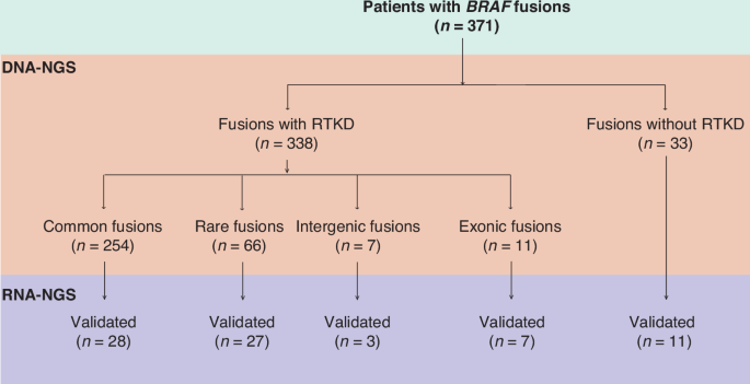 Unveiling the BRAF fusion structure variations through DNA and RNA ...