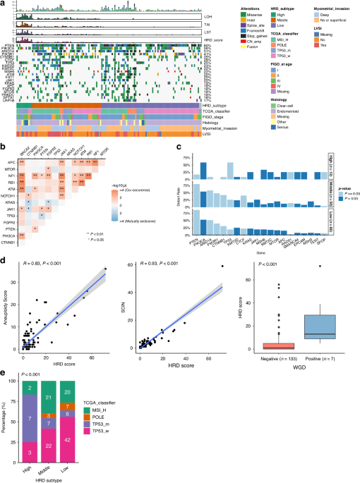 Integrating homologous recombination deficiency subtyping with TCGA ...