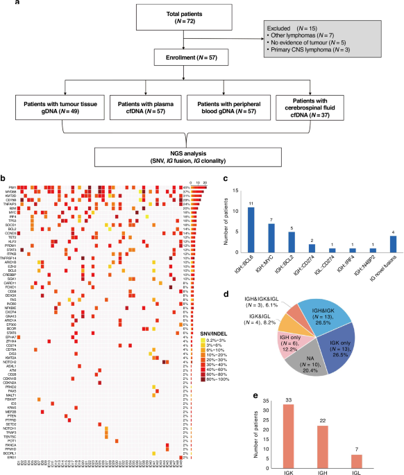 Circulating tumor DNA from blood and cerebrospinal fluid in DLBCL ...