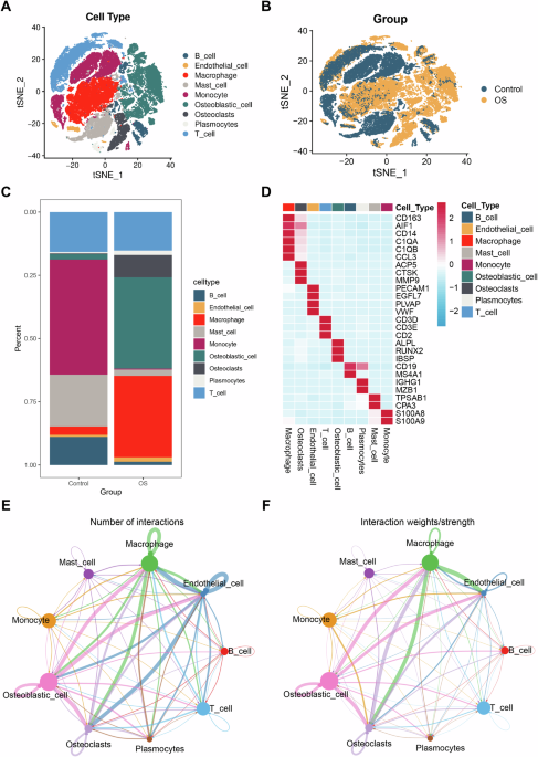 Unveiling the role of the extracellular matrix in the osteosarcoma ...