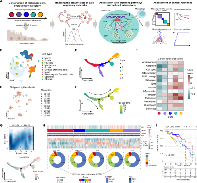 Construction of the cancer cell continuum reveals hybrid EMT state ...