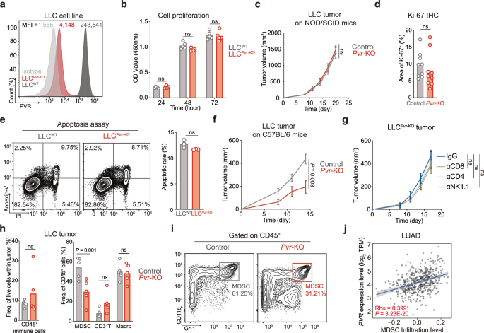 Targeting the poliovirus receptor to activate T cells and induce ...