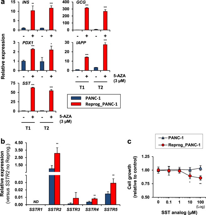 Epigenetic reprogramming using 5-azacytidine promotes an anti-cancer ...