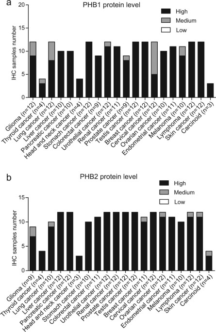 Significance of prohibitin domain family in tumorigenesis and its ...